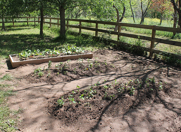 What the heck is a hugelkultur? – The Official Website of Jamie Foley